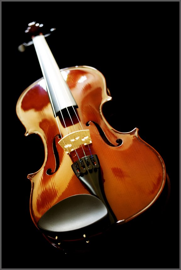 frasermarr.com - Oviedo, FL